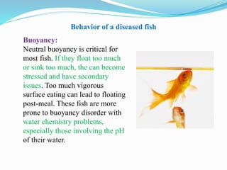 Differentiation between the Behavior of Healthy and Diseased Fish and ...