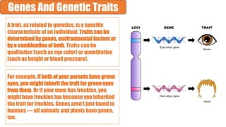 Genetics.pptx