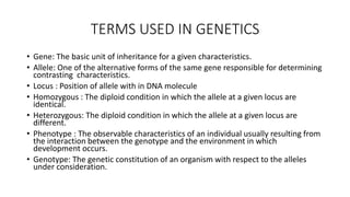 GENETICS.pptx