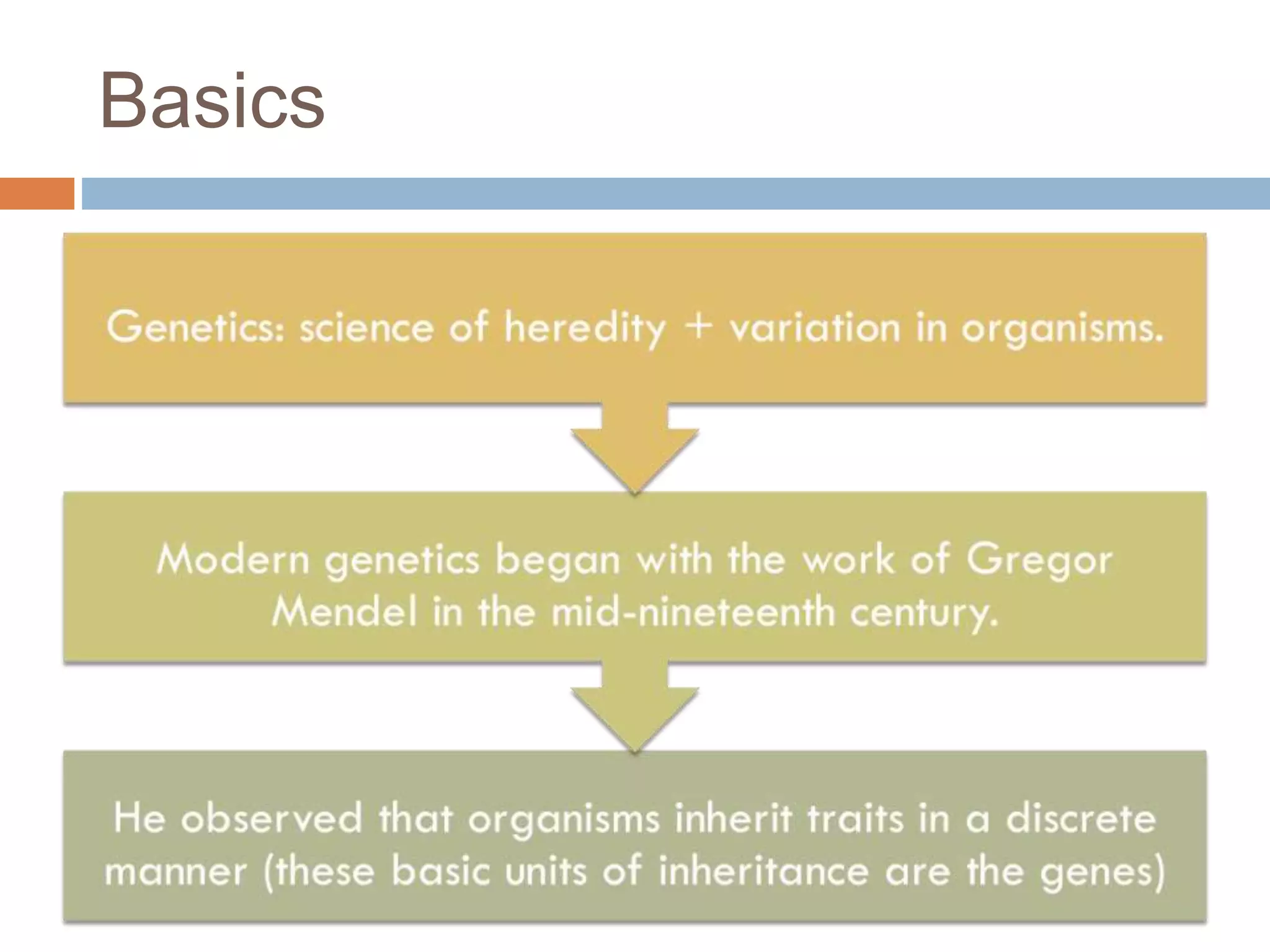 Genetics.ppt | Genetics | Science