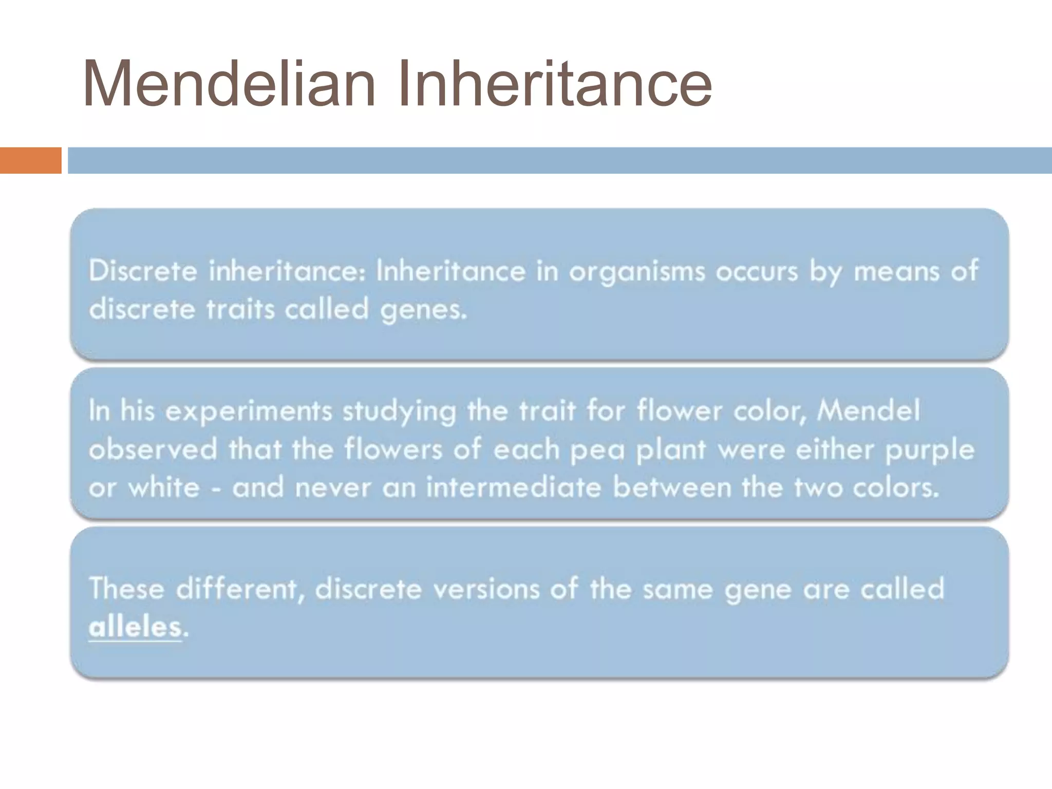 Genetics.ppt | Genetics | Science