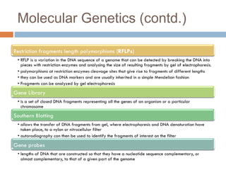 Genetics.ppt | Genetics | Science