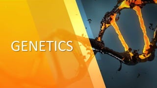 Genetics.pptx