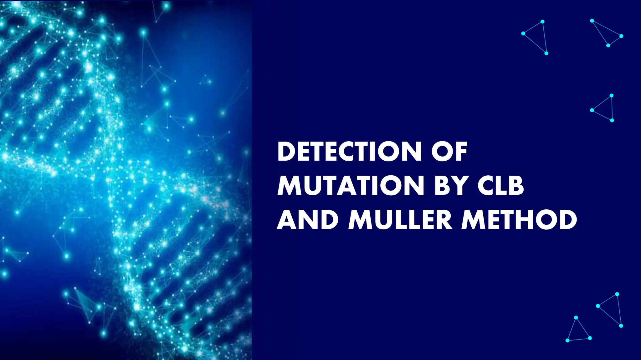 Detection Of Mutation By Clb Method Pptx