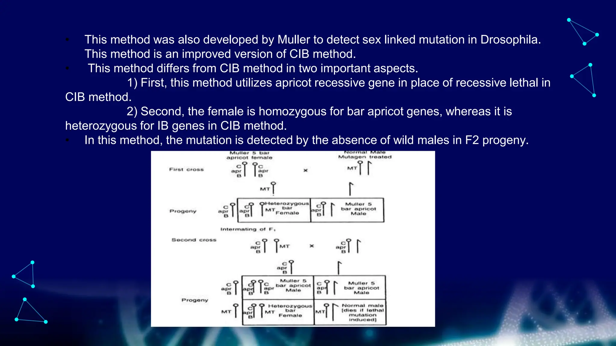 DETECTION OF MUTATION BY CLB METHOD.pptx