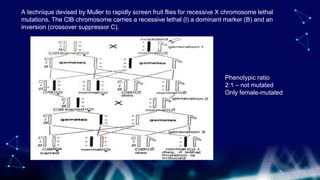 DETECTION OF MUTATION BY CLB METHOD.pptx