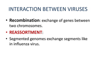 Microbiology, virology, viral GENETICS.pptx