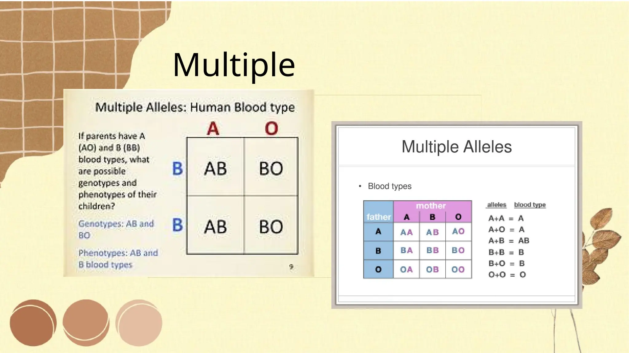grade 9 genetics - non mendelian inheritance.pptx