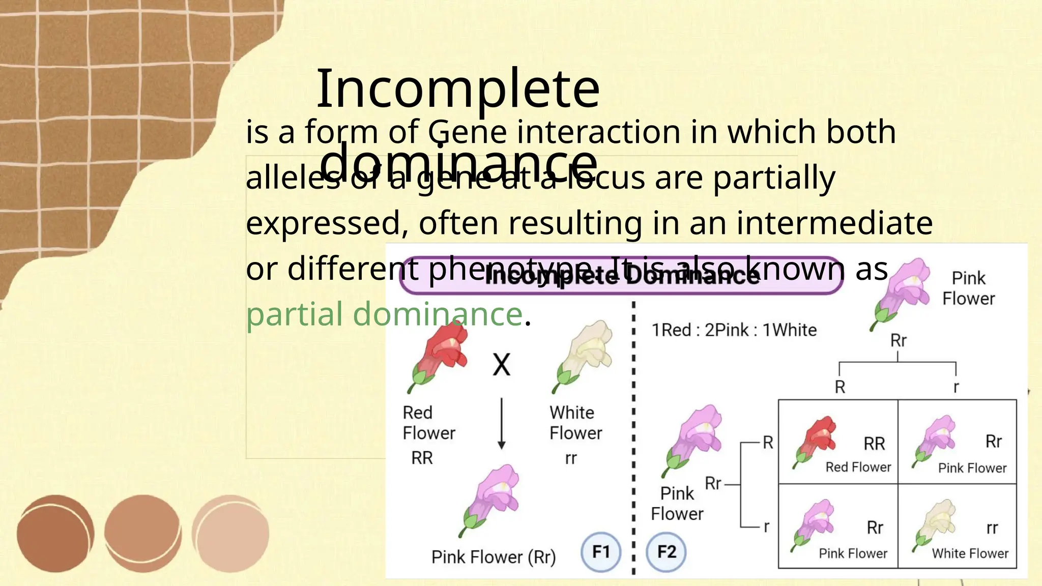 grade 9 genetics - non mendelian inheritance.pptx