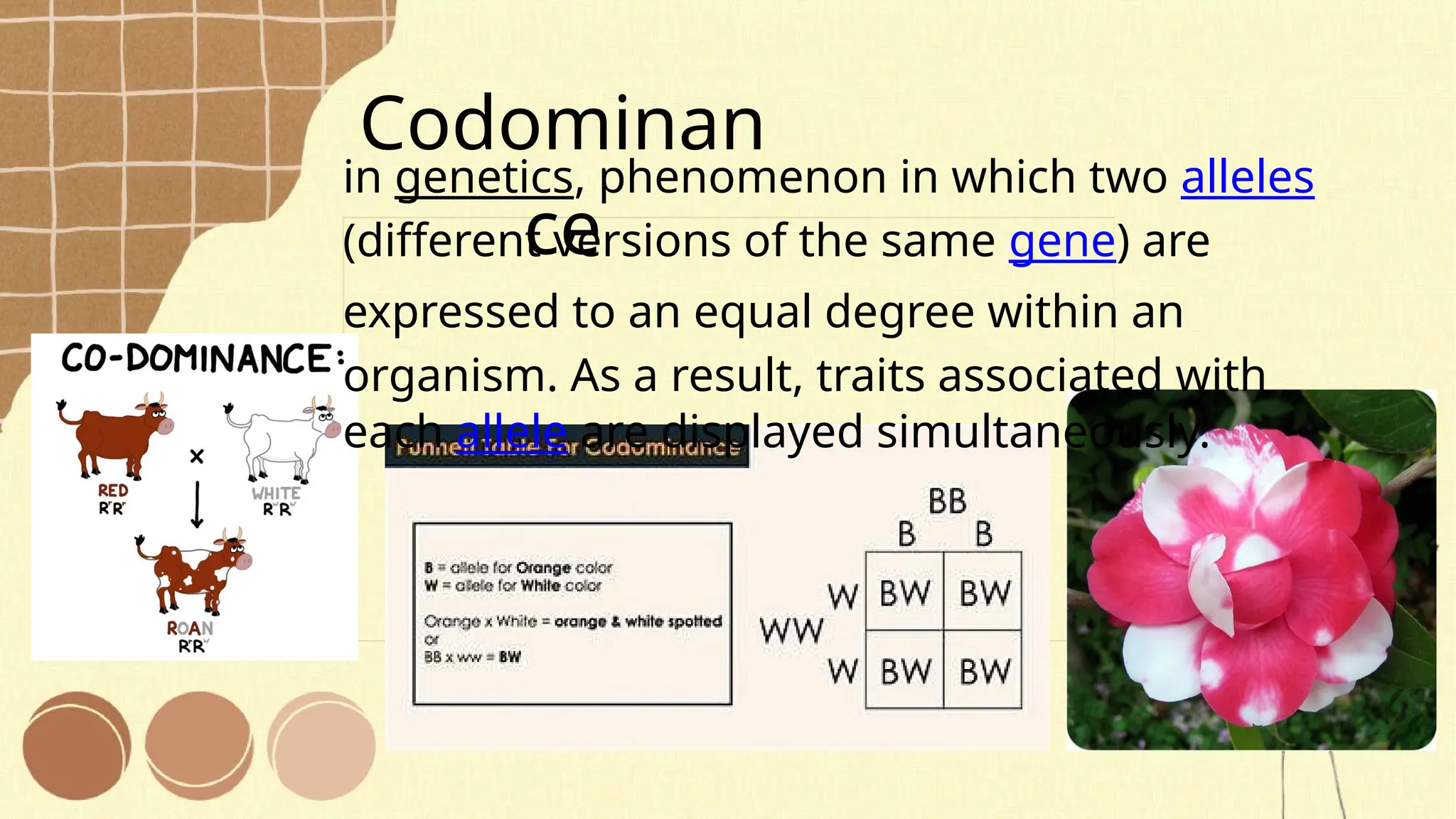 grade 9 genetics - non mendelian inheritance.pptx