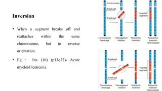 genetics.pptxpedi genetics pediatrics pediatrics | PPT