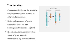 genetics.pptxpedi genetics pediatrics pediatrics | PPT