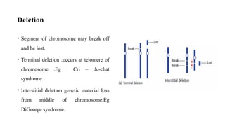 genetics.pptxpedi genetics pediatrics pediatrics | PPTX