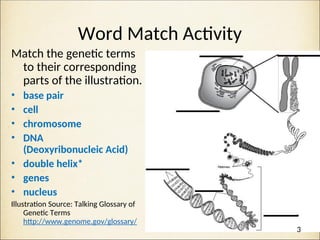 genetics geneticsgeneticsgeneticsgegenet | PPT