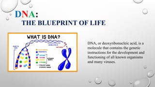 GENETICS THE BLUEPRINT OF LIFE AND THE RECIPE FOR CLONES.pptx