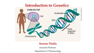 Introduction to Genetics including Chromosomes | PPTX