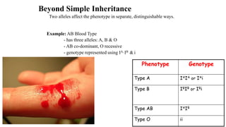 GENETICS-AND-HEREDITY: an overview to genetics | PPTX