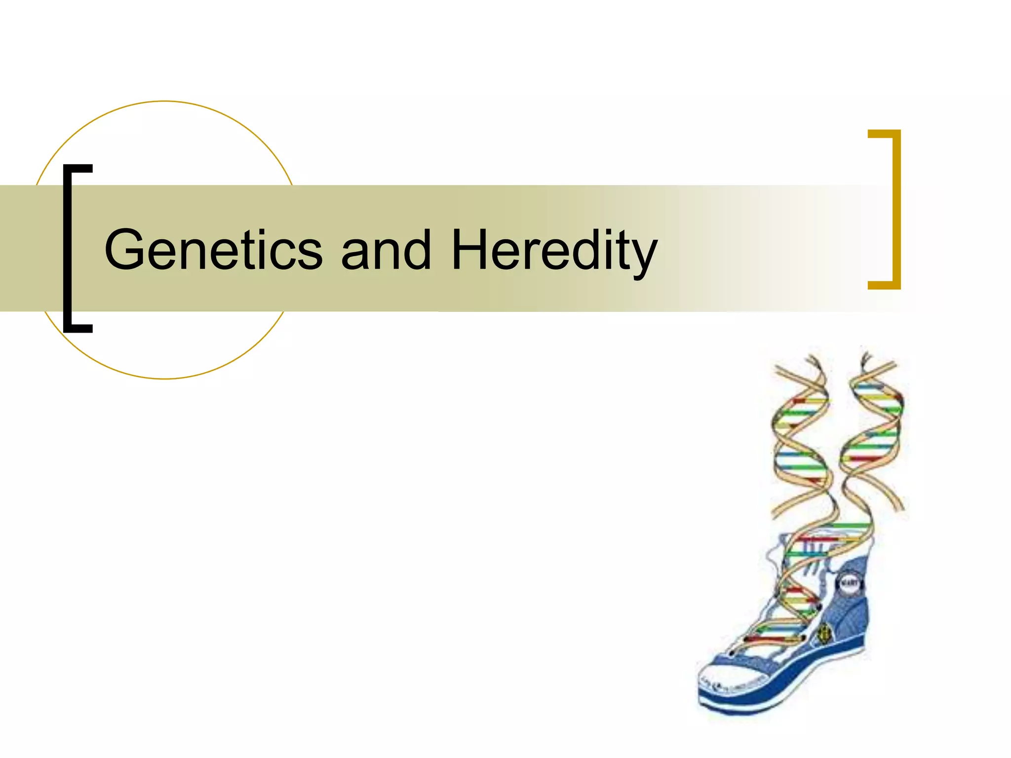 Genetics-and-Heredity-Intro- | PPTX