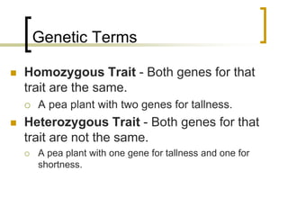 Genetics-and-Heredity-Intro- | PPTX