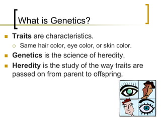 Genetics-and-Heredity-Intro- | PPTX