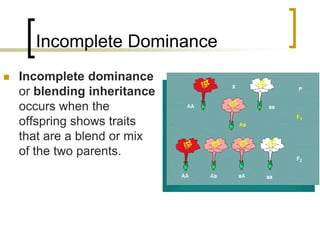 Genetics-and-Heredity-Intro- | PPTX
