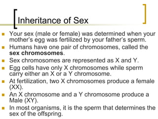 Genetics-and-Heredity-Intro- | PPTX
