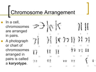 Genetics-and-Heredity-Intro- | PPTX