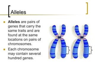 Genetics-and-Heredity-Intro- | PPTX