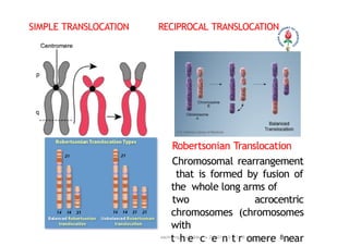 Genetics intergrated pathology -converted.pptx