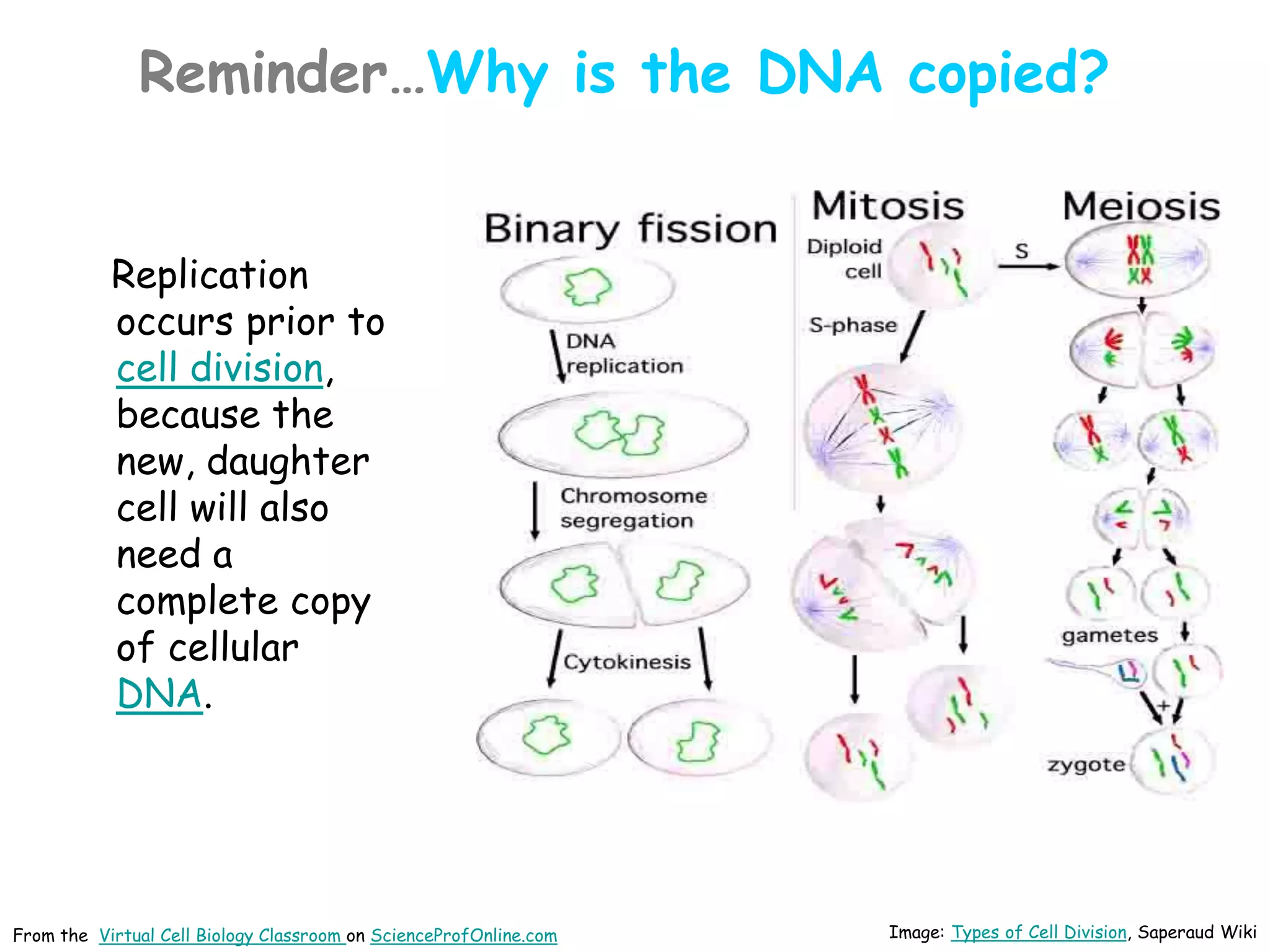 Genetics-DNA-Replication-Biology-Lecture-PowerPoint-VCBCct.pptx