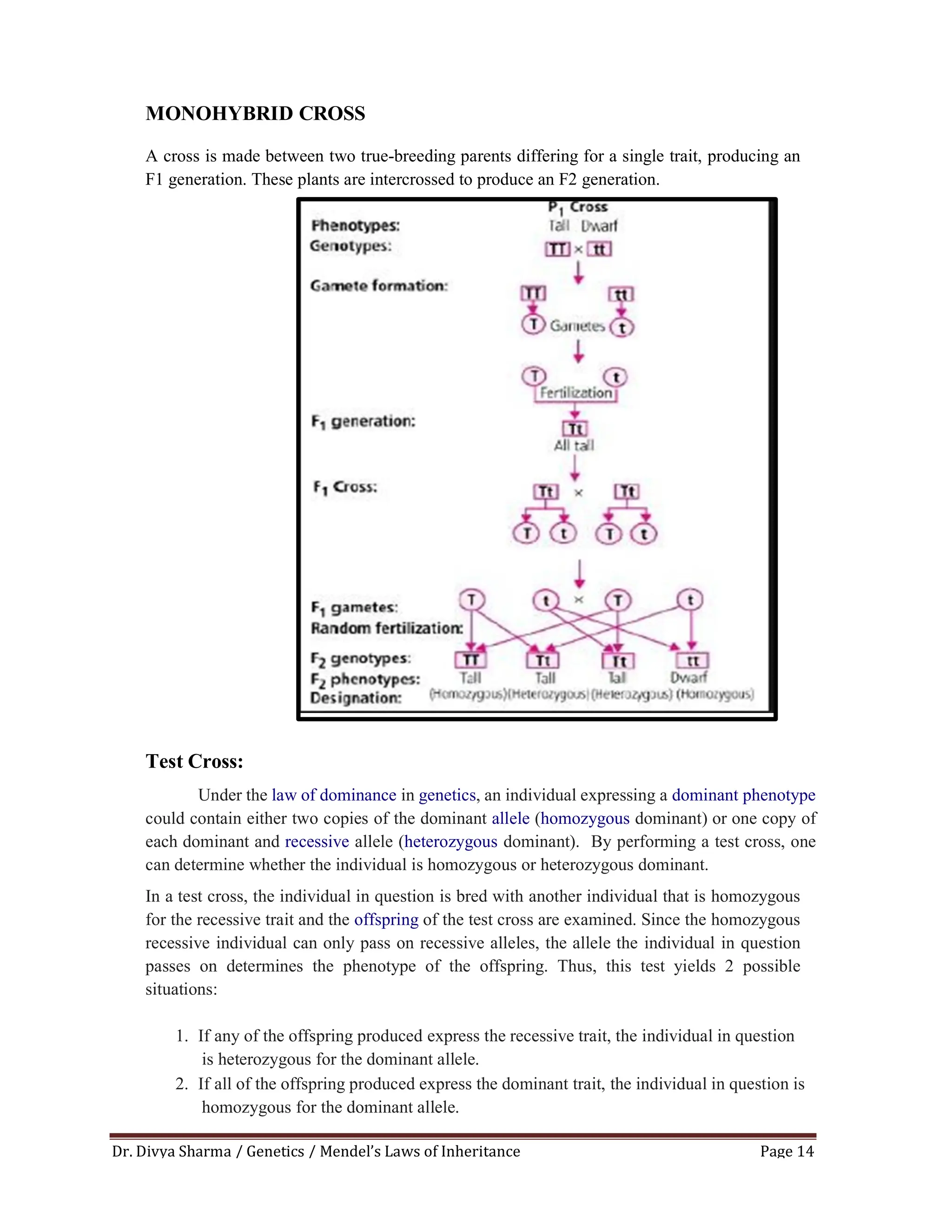 Mendal's Law of inheritance - Mono, Di & Trihybrid Crossing | PDF