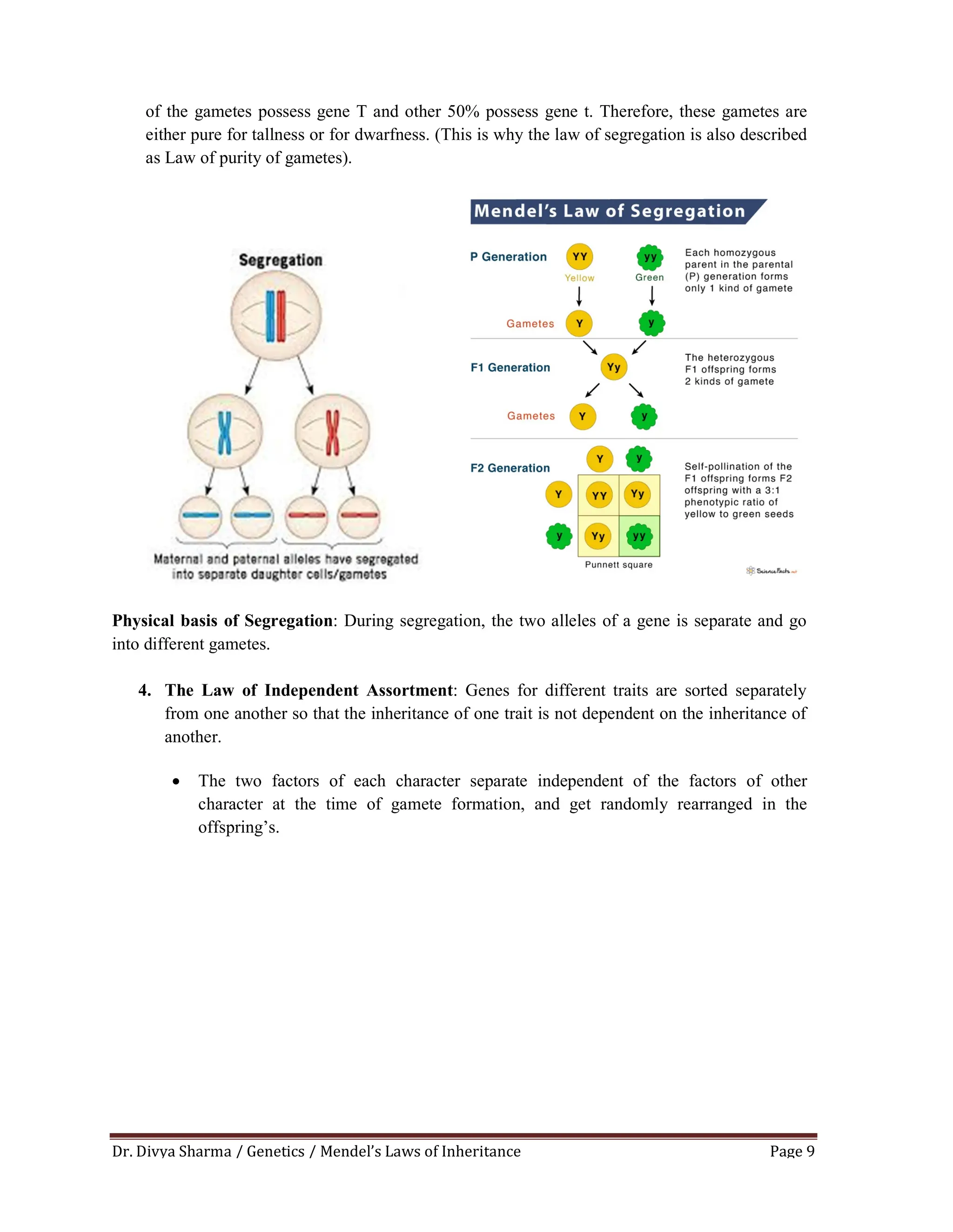 Mendal's Law of inheritance - Mono, Di & Trihybrid Crossing | PDF