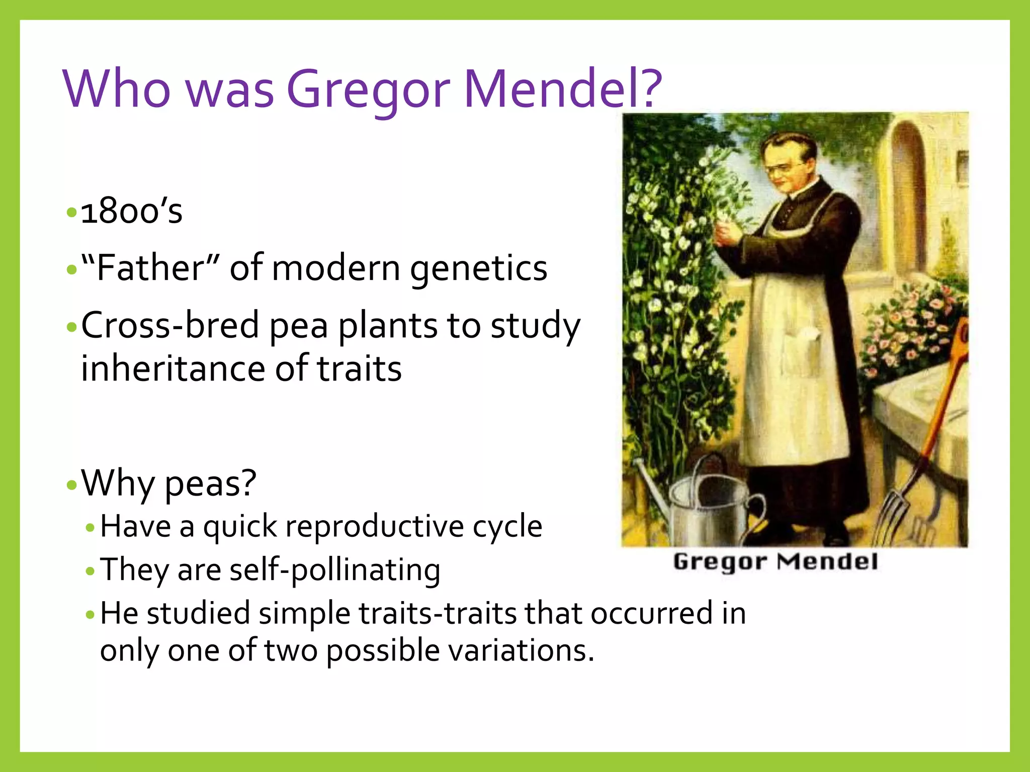 Genetics-Mendel.ppt