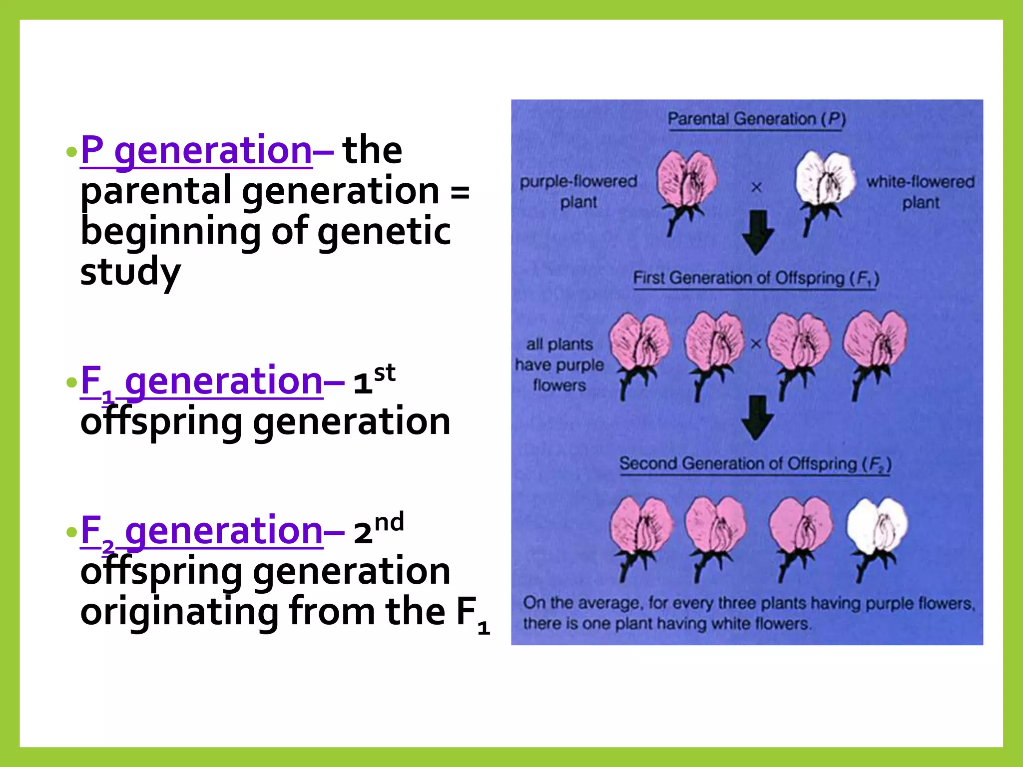 Genetics-Mendel.ppt