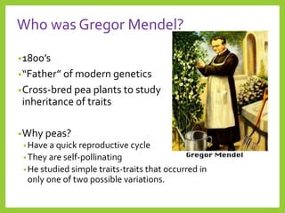 Genetics-Mendel.ppt
