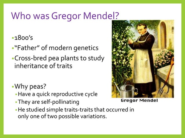 Genetics-Mendel.ppt
