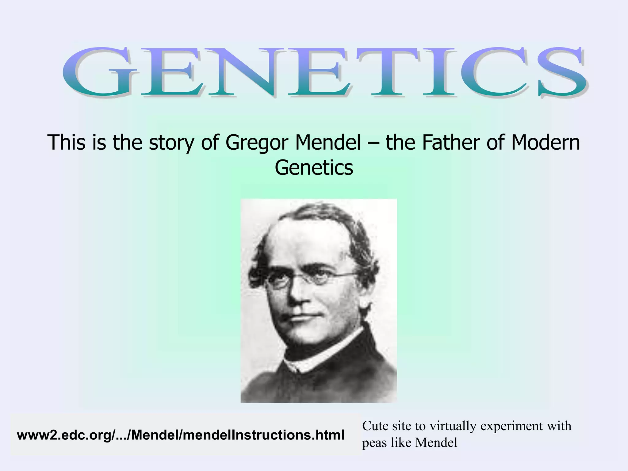 Genetics - Mendelian2.ppt