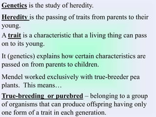 Genetics - Mendelian2.ppt