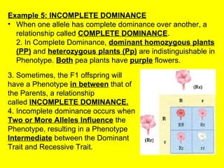 Genetics Notes | PPT