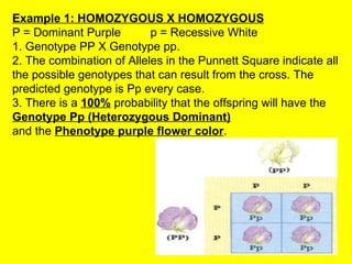 Genetics Notes | PPT
