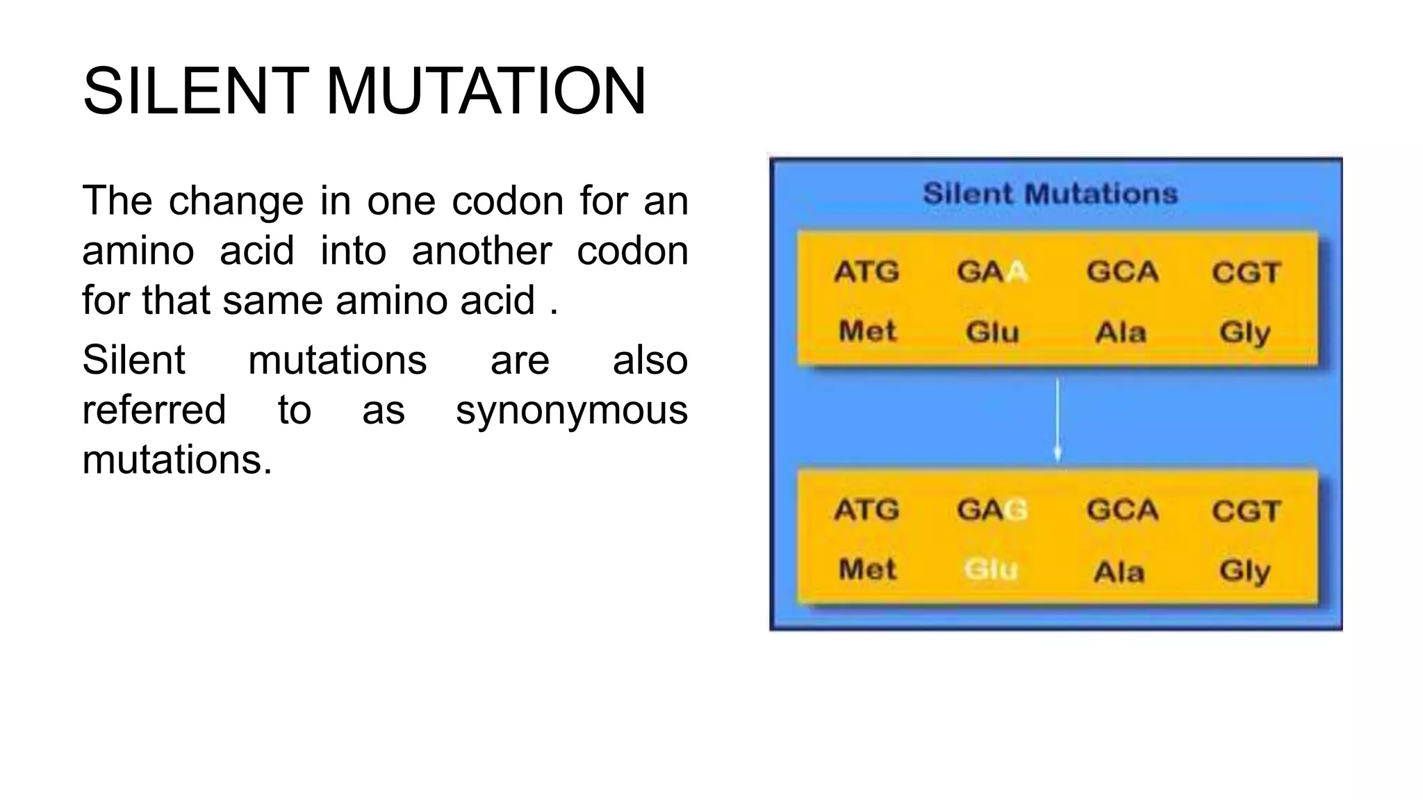 Genetics nsg unit i part 4 | PPTX