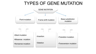 Genetics nsg unit i part 4 | PPTX