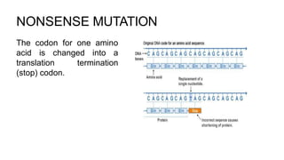 Genetics nsg unit i part 4 | PPT