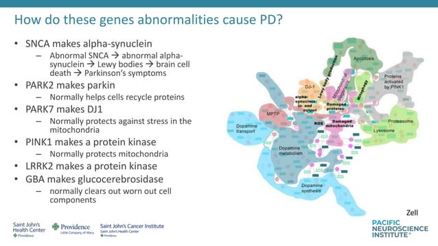 genetics-of-PD (1).pptx