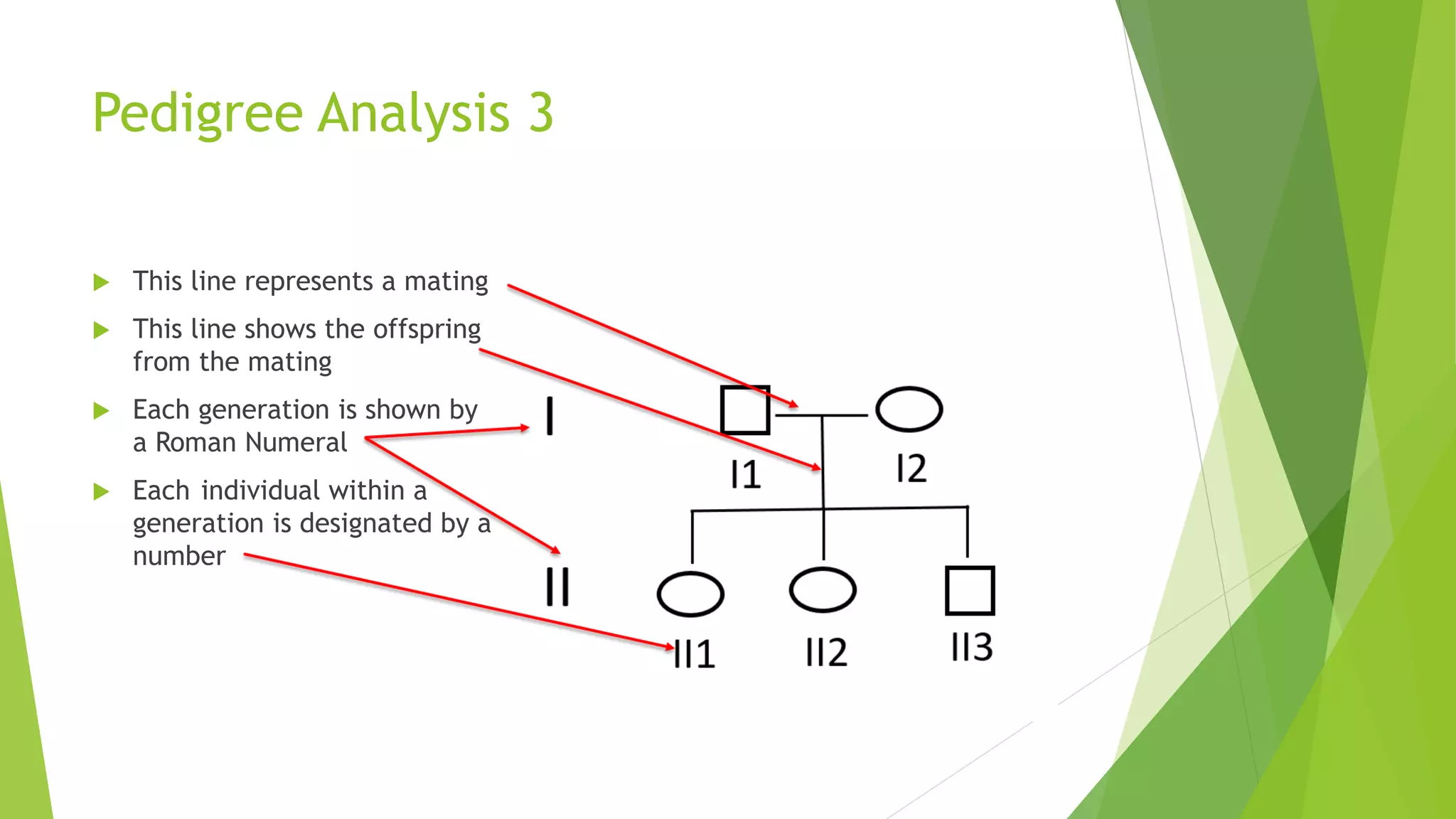 Genetics-Pedigree-Analysis-PowerPoint.pdf