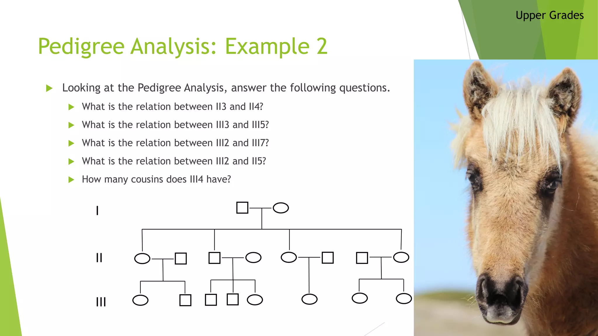 Genetics-Pedigree-Analysis-PowerPoint.pdf