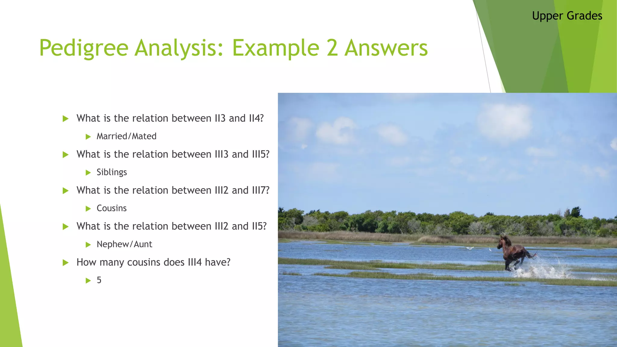 Genetics-Pedigree-Analysis-PowerPoint.pdf