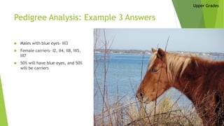 Genetics-Pedigree-Analysis-PowerPoint.pdf