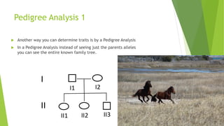 Genetics-Pedigree-Analysis-PowerPoint.pdf