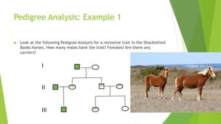 Genetics-Pedigree-Analysis-PowerPoint.pdf